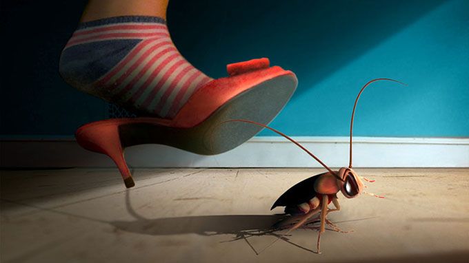 75 Incredible Random Facts For You To Use At The Right Time | LifeDaily